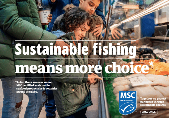 Celebrating World Ocean Month with Sustainable Fishing Practices ...